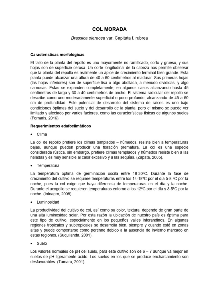 Col Morada Pdf Repollo Lepidópteros