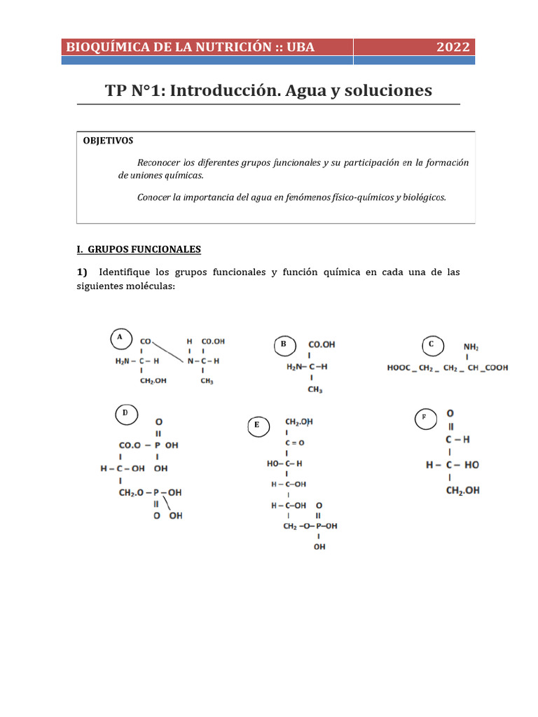 Guia TP Bioq 1 Parcial 2022 | PDF | Aminoácidos | Hemoglobina Guia TP Bioq 1 Parcial 2022 | PDF | Aminoácidos | Hemoglobina