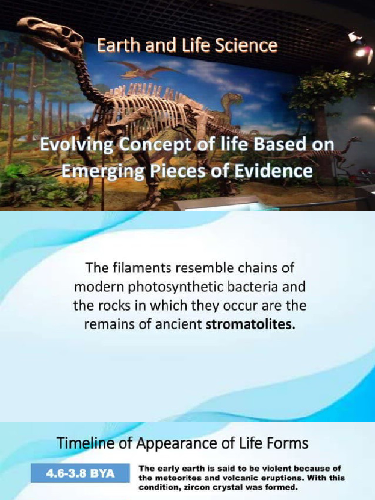 Evolving Life Concepts: Evidence | PDF | Computers