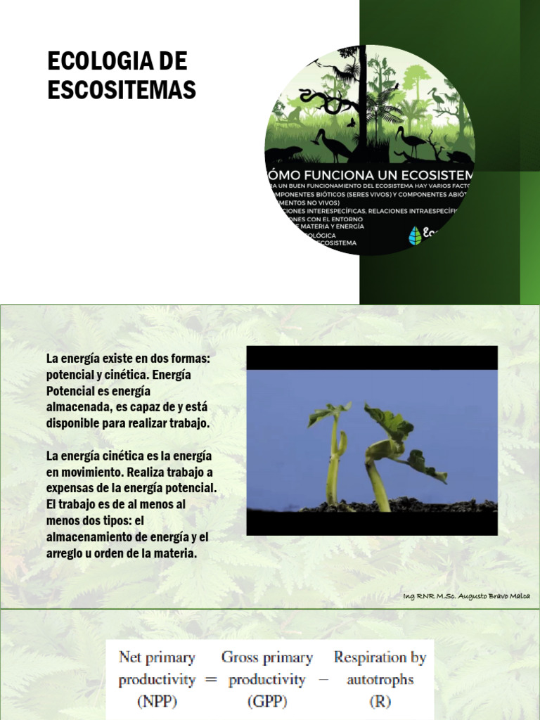 Ecologia de Ecosistemas | PDF | Azufre | Dióxido de azufre