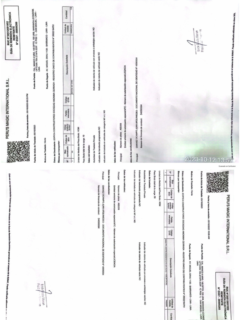 Guias 265 - 266 | PDF