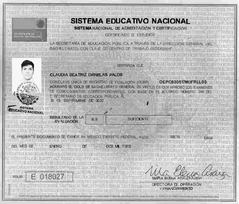 Certificado Clau | PDF