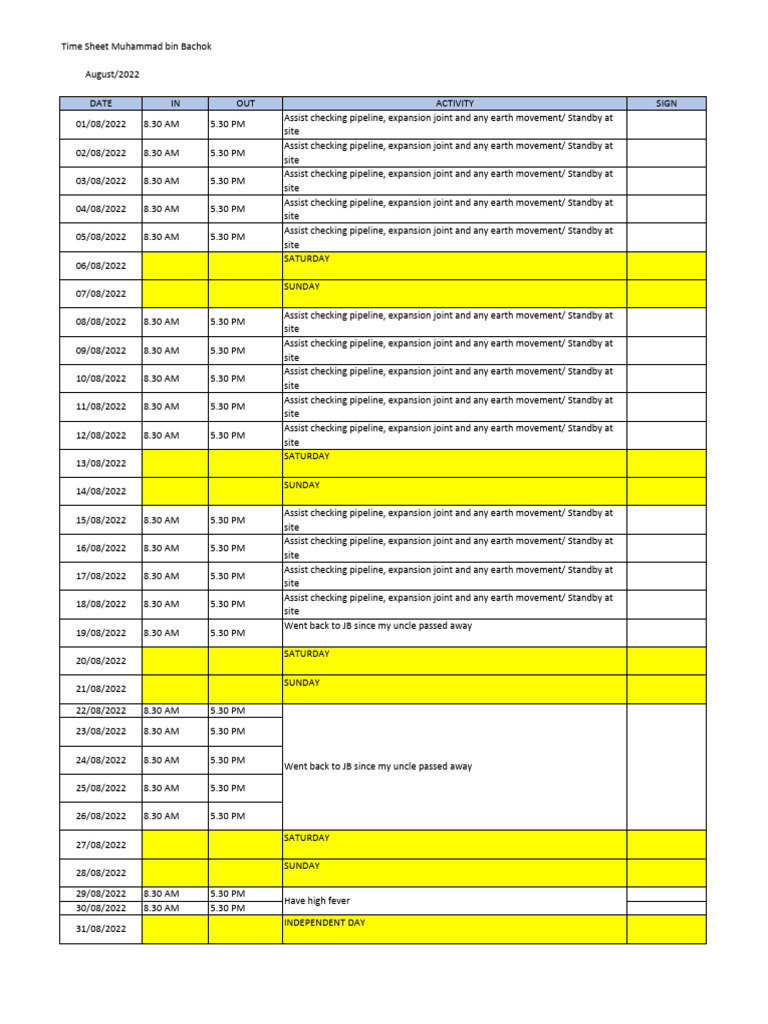 Muhammad Timesheet | PDF | Process Engineering | Tools