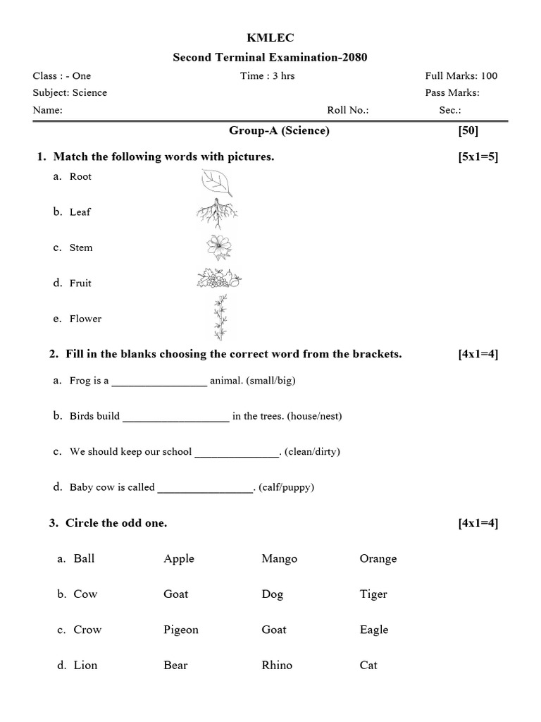 Class One (Science) | PDF | Organisms | Plants