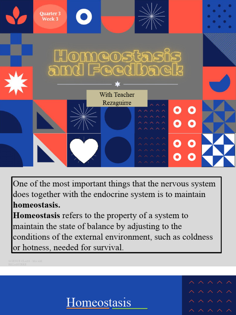 Topic 4 Homeostasis | PDF | Homeostasis | Thermoregulation