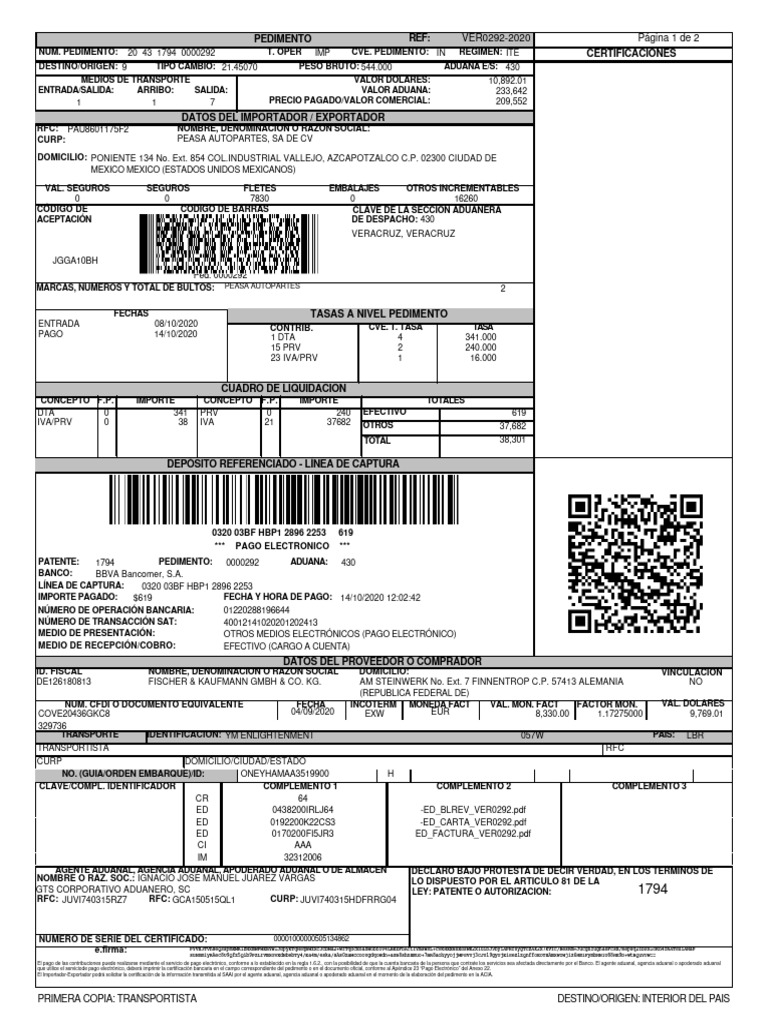 Pedimento Ejemplo | PDF | Economias | Business