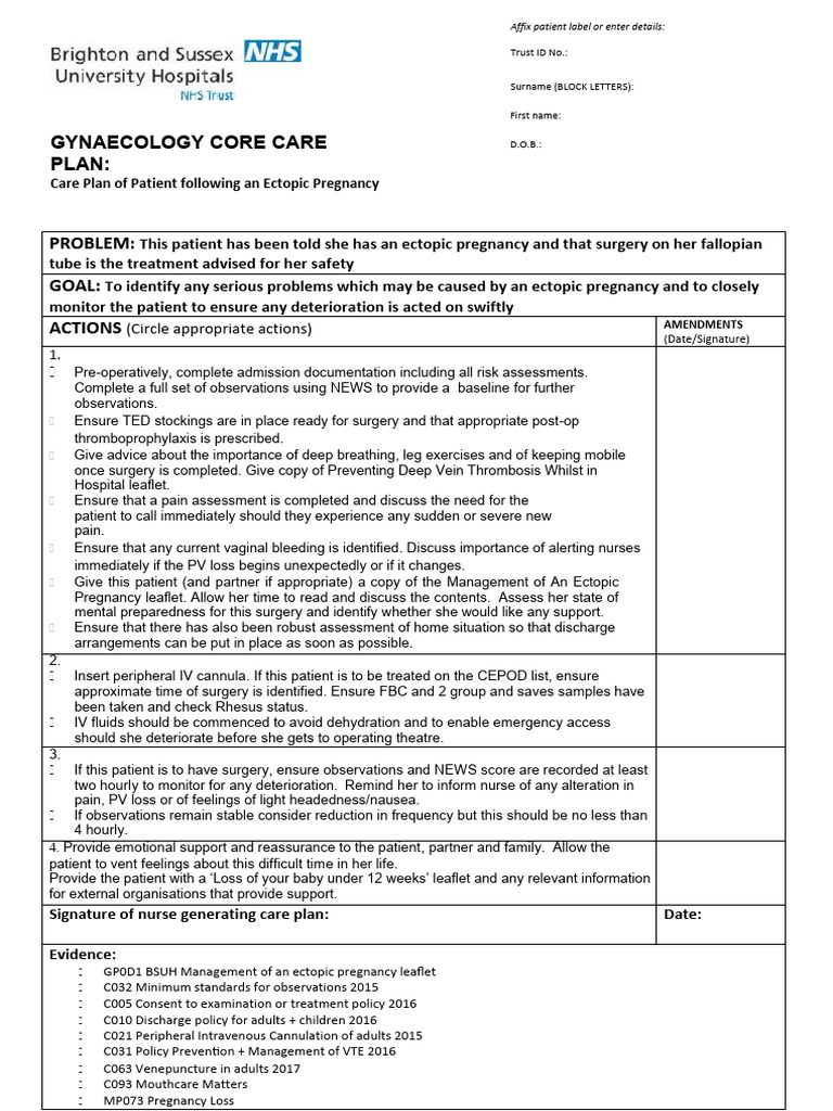 Gynae Care Plan ECTOPIC Reviewed | PDF | Surgery | Intravenous Therapy