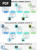 Dryopithecus | PDF | Hominidae | Homo Sapiens