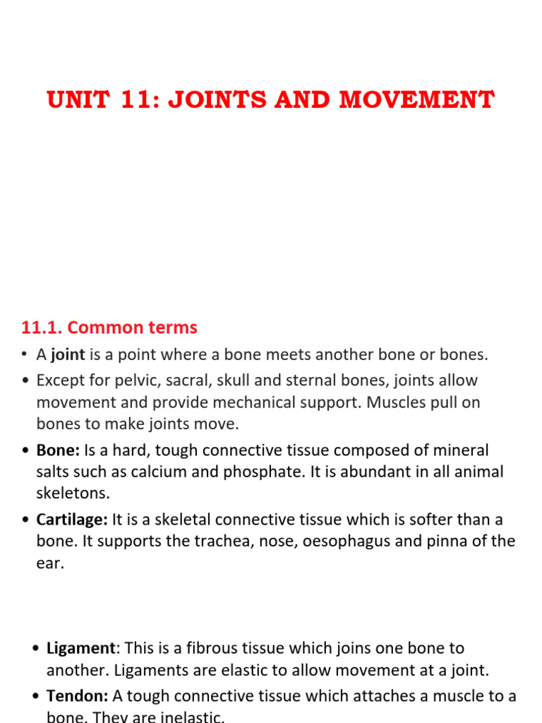 Unit 11. Joints & MVT Notes | PDF | Joint | Skeleton