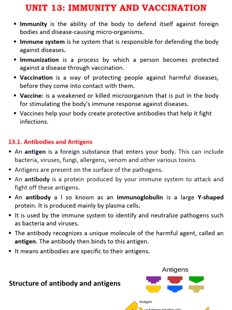 Unit 13 Immunity and Vaccination | PDF | Immune System | Adaptive ...