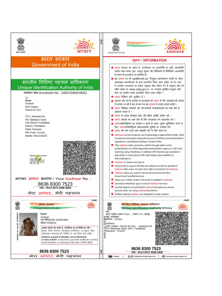 Vimlesh Aunti Adhaar | PDF | Information Technology Management | Cybercrime