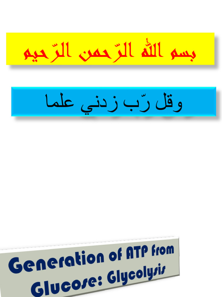 Generation of ATP From Glucose Glycolysis | PDF | Glycolysis ...