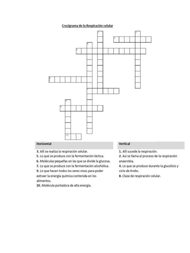 Crucigrama de La Respiración Celular | PDF