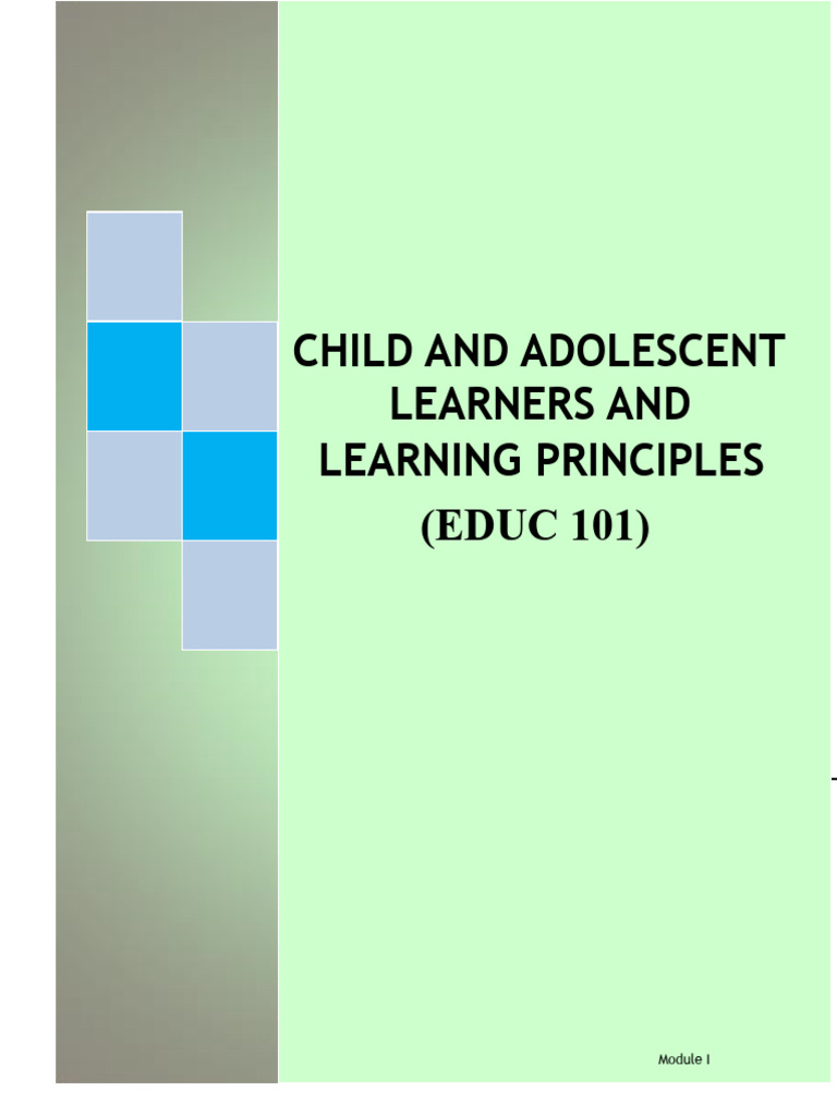 Child and Adolescent Learners and Learning Principles | PDF | Memory ...