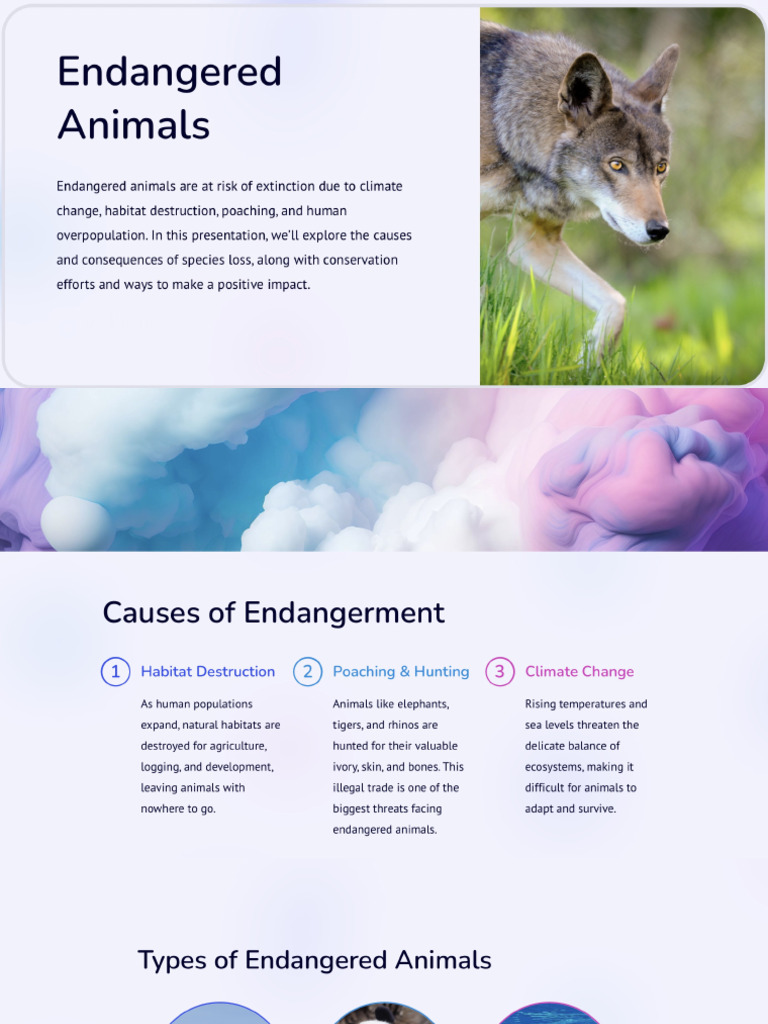 Endangered Animals | PDF