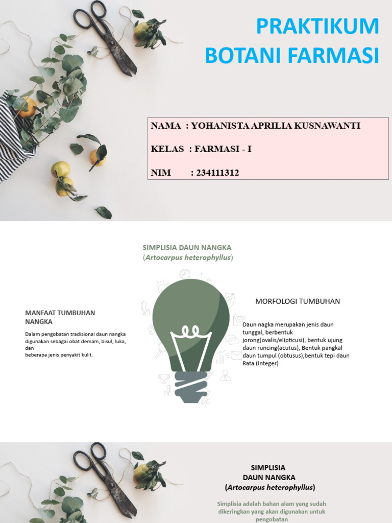 Manfaat dan Proses Simplisia Daun Nangka | PDF | Kesehatan Holistik
