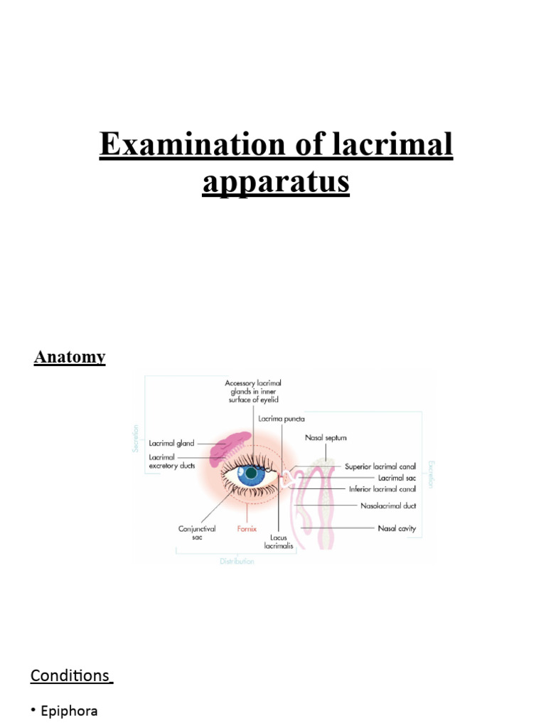 Lacrimal Apparatus Examination Guide | PDF