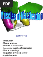 Dogfish Mouth Muscles Overview | PDF | Pelvis | Mouth
