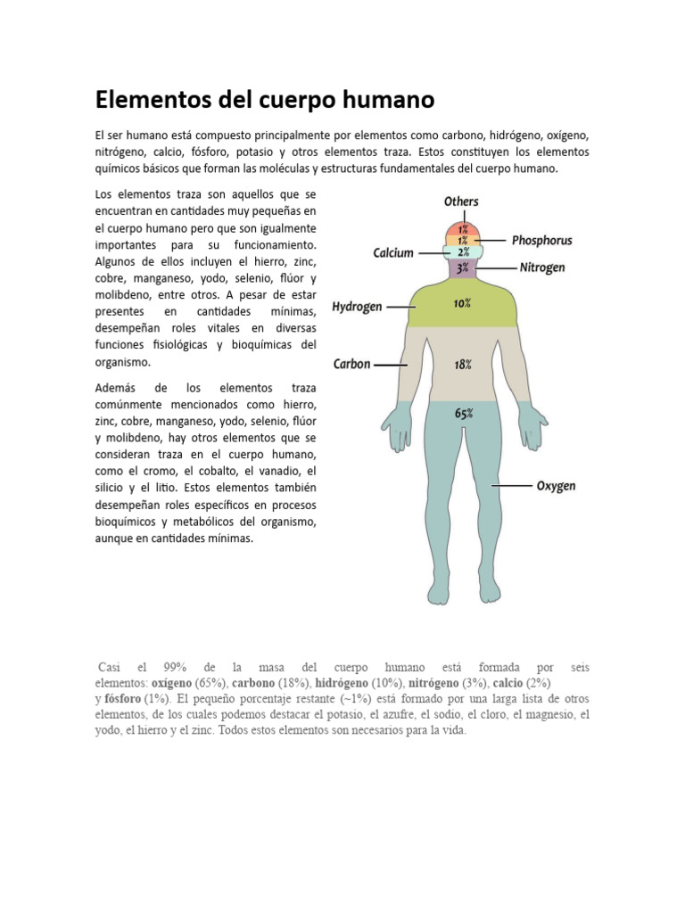Elementos Del Cuerpo Humano | PDF | Elementos químicos | Cuerpo humano