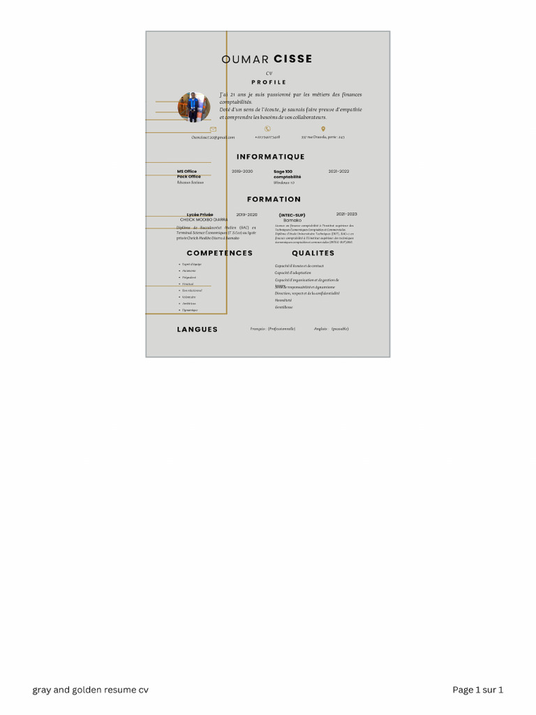 Gray and Golden Resume CV | PDF