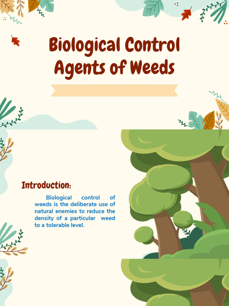 Chapter 3 6th Part | PDF | Biological Pest Control | Weed