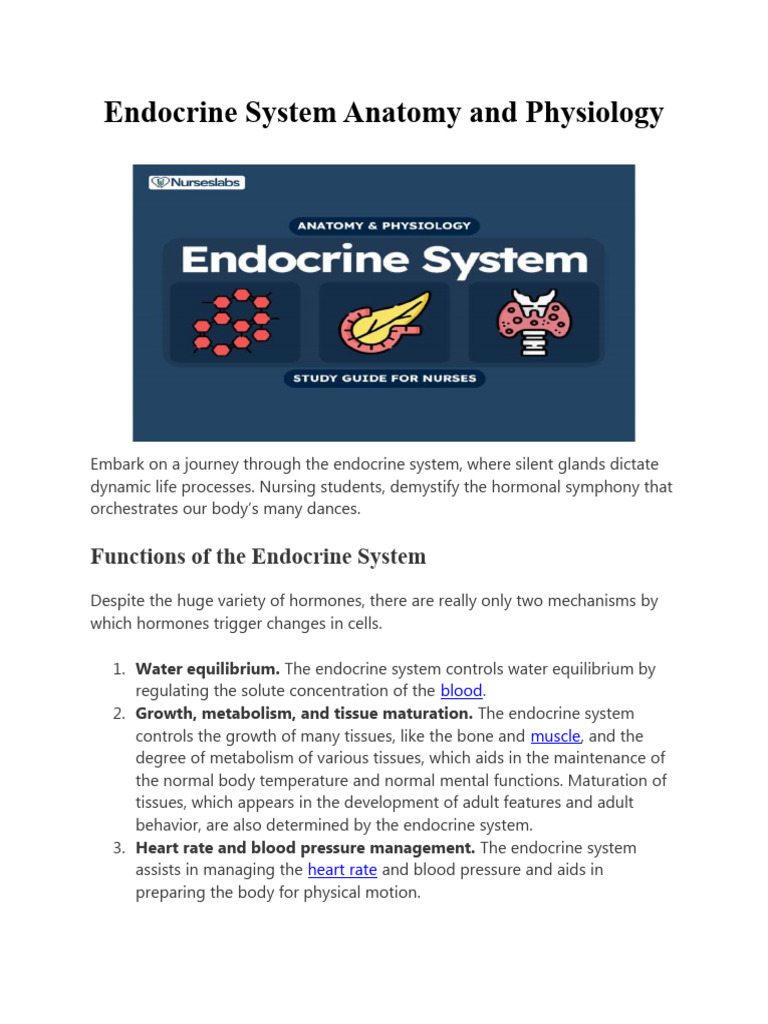 Endocrine System | PDF | Endocrine System | Adrenal Gland