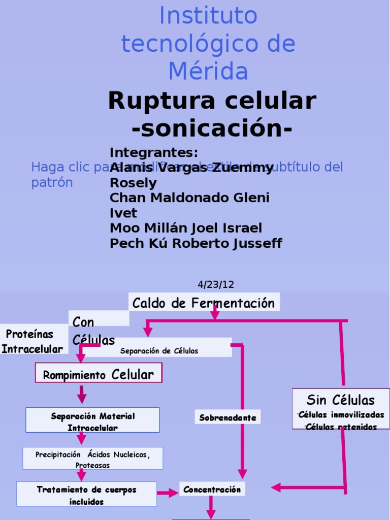 Sonicación | PDF | Ultrasonido | Olas