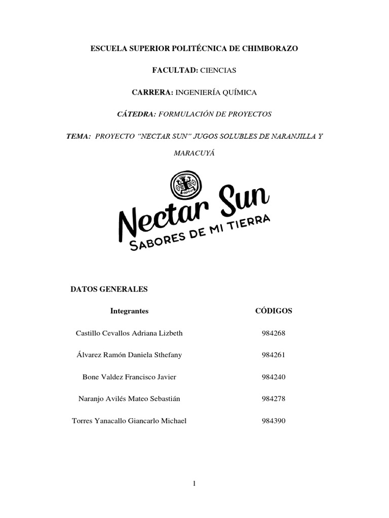 Proyecto - Nectar Sun | PDF | Compartir (Finanzas) | Alimentos