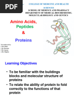 Amino Acid Worksheet 2 Key | PDF | Amino Acid | Proteins
