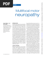 Pyramidal Weakness. Practical Neurology | PDF | Anatomical Terms Of ...