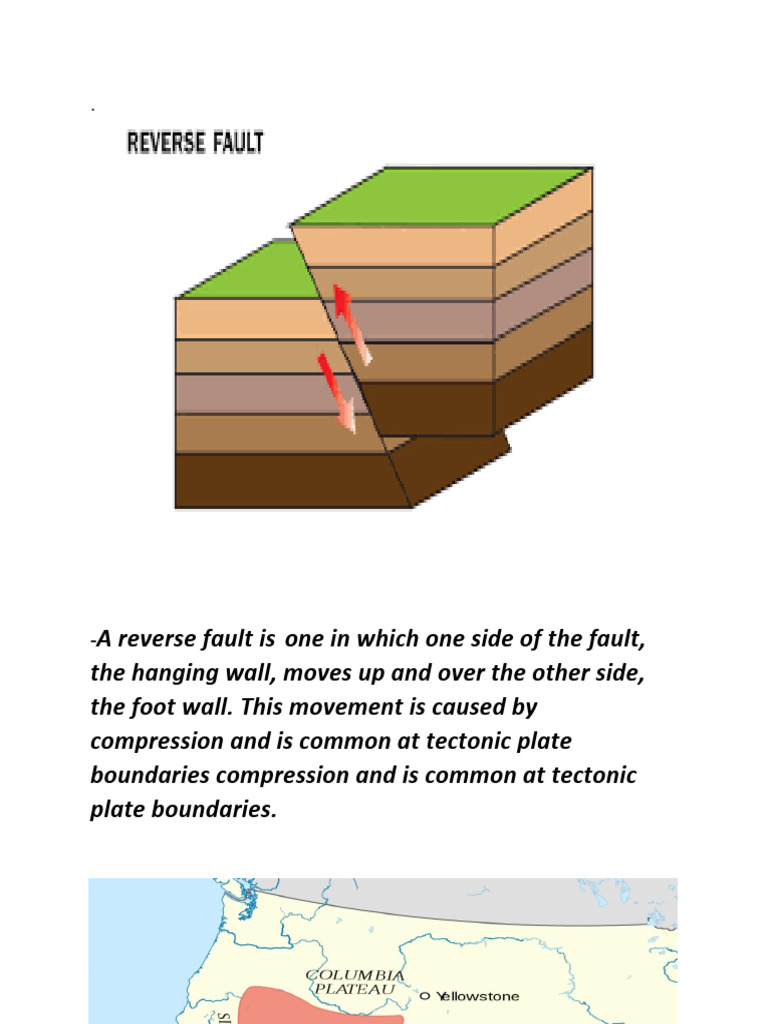 Reverse Faults and Mountain Ranges | PDF | Science & Mathematics