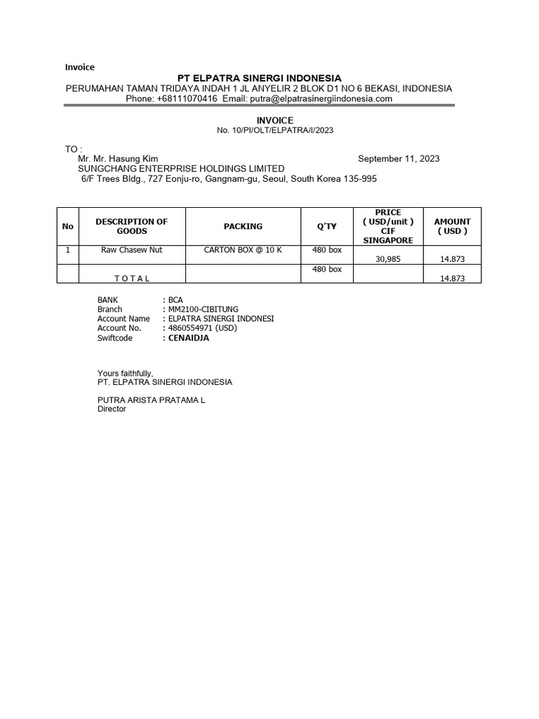 Dummy File Invoice Dan Packing List | PDF