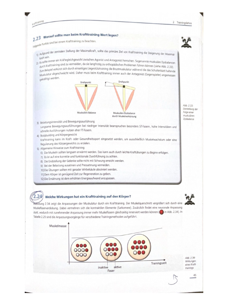 2.23 Worauf Sollte Man Beim Krafttraining Wert Legen | PDF