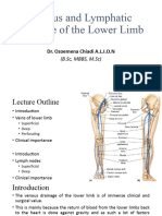 Knee Exercises-OrthoInfo - AAOS | PDF | Foot | Knee