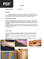 Prúrigo Por Insectos | PDF
