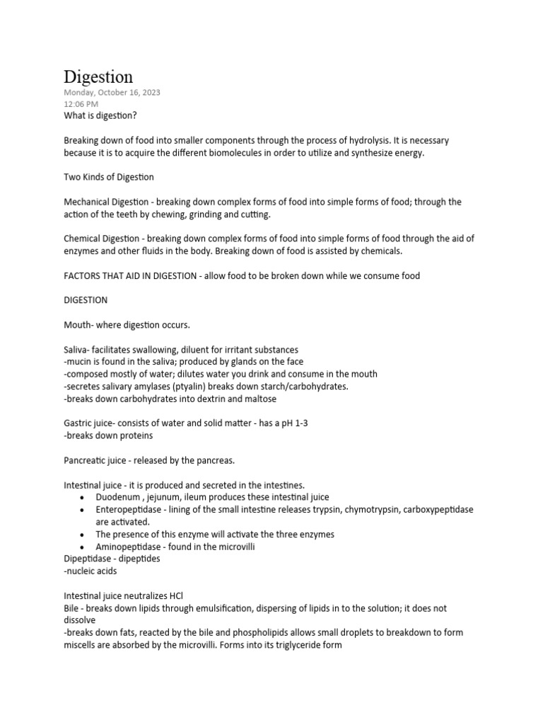 Digestion | PDF | Digestion | Stomach Digestion | PDF | Digestion | Stomach