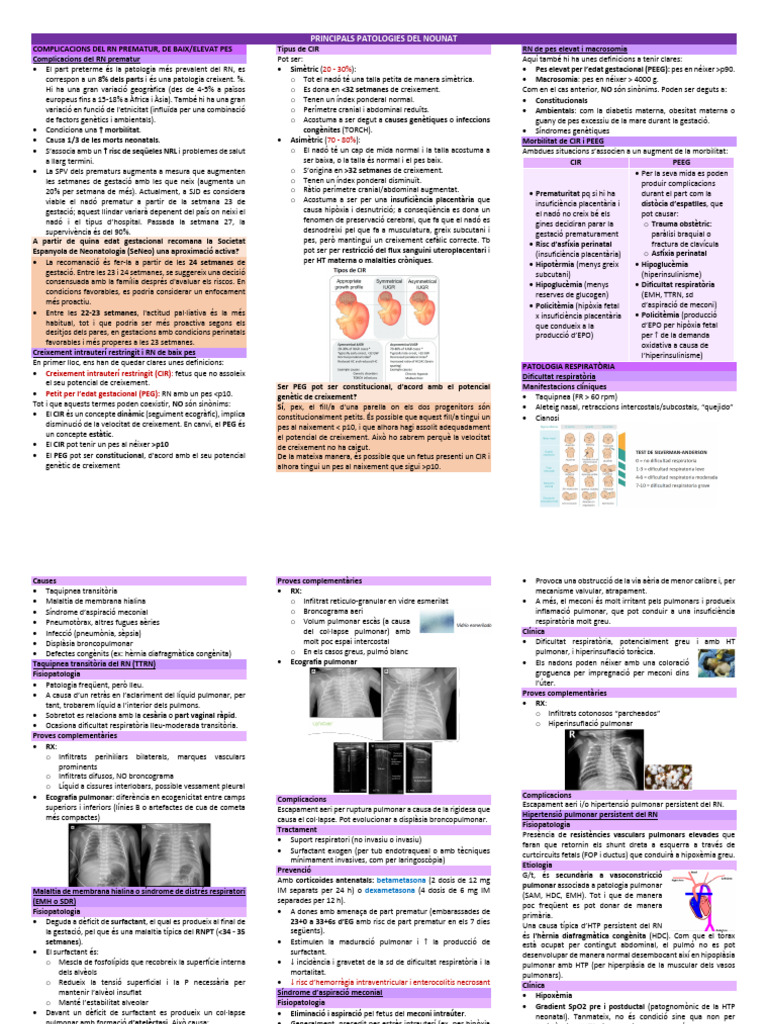 Principals Patologies Del Nounat | PDF