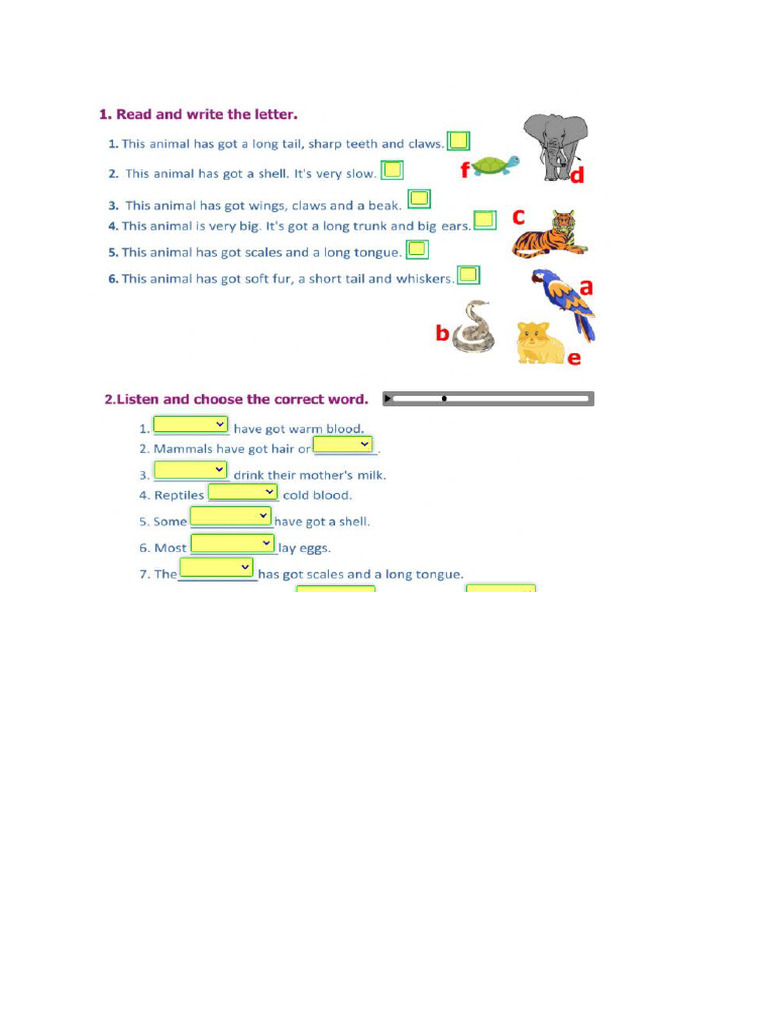 Tiger 3 Unit 2 Have Hot I Zwierzeta | PDF