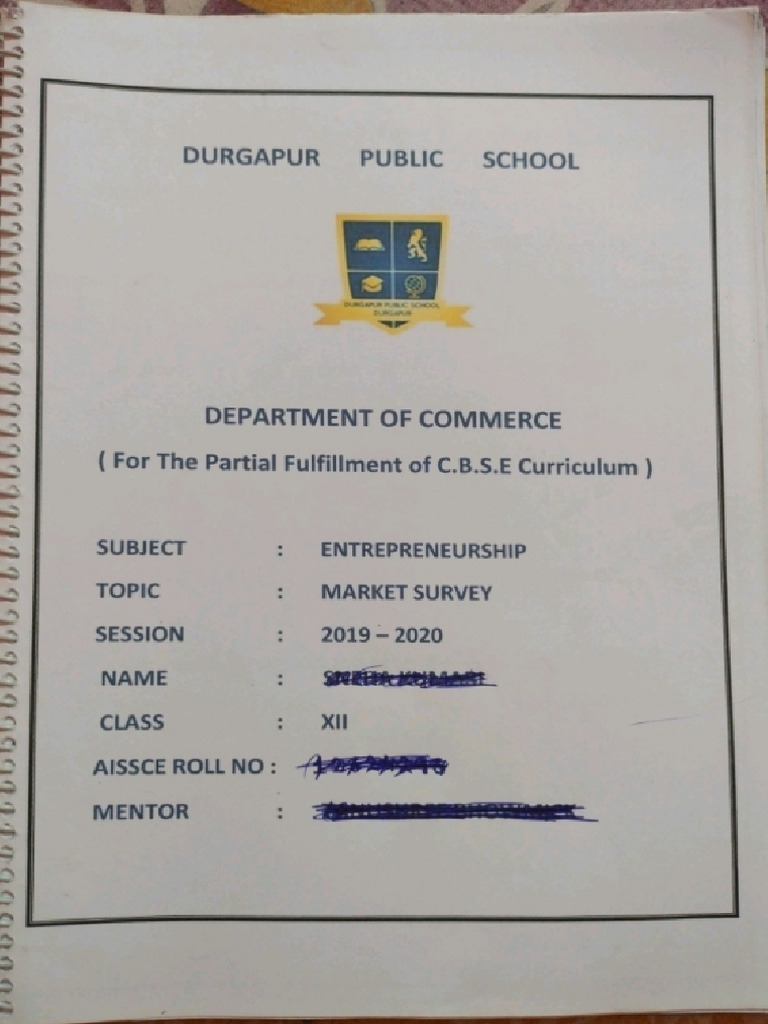 Entrepreneurship Project 2 | PDF