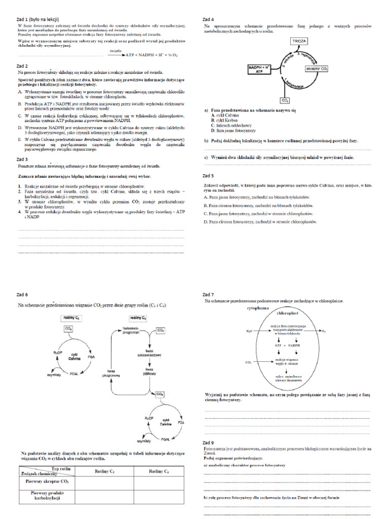 Fotosynteza - Zadania | PDF
