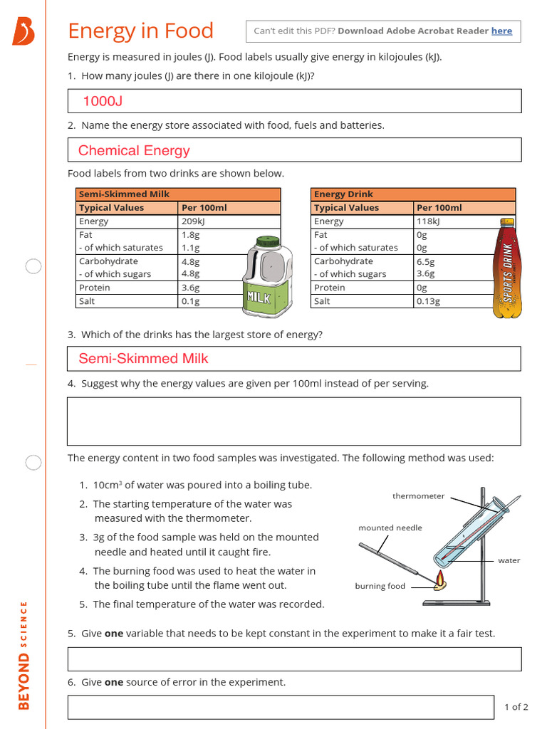 Measuring Energy in Food Experiment | PDF | Water | Carbohydrates