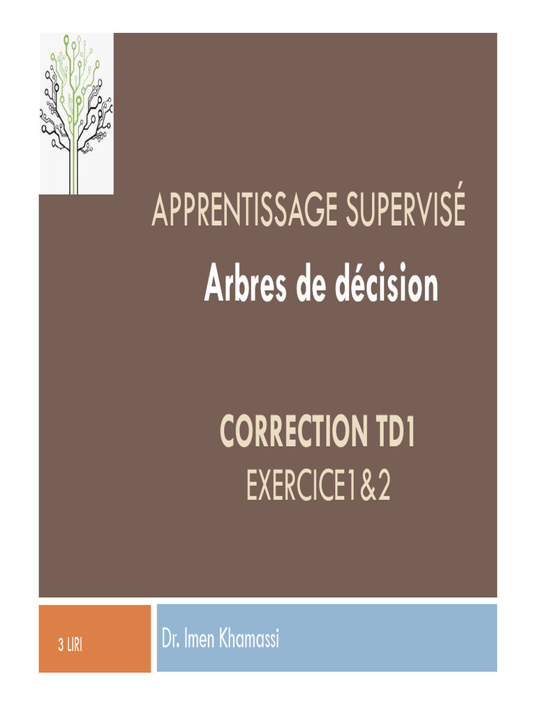 Correction TD1 Partie 1 | PDF | Apprentissage automatique | Classement automatique