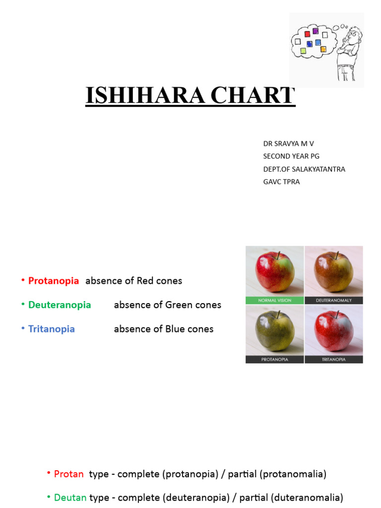 Ishihara Chart | PDF
