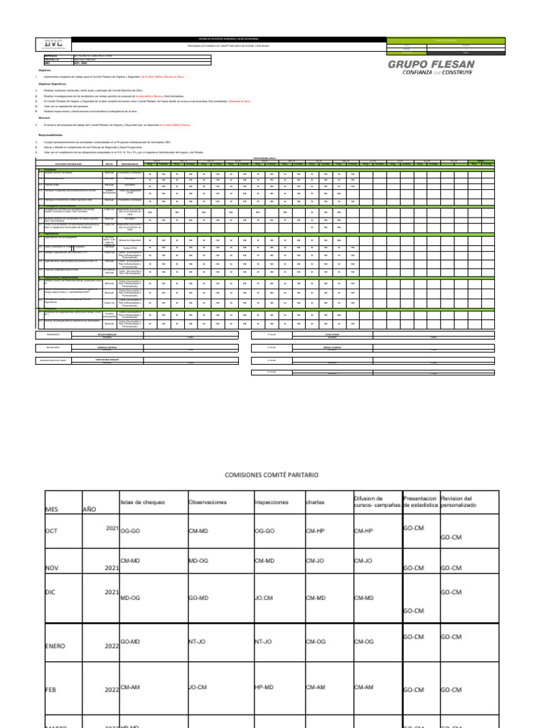 Programa Cphs | PDF | Politica de salud | Las condiciones de trabajo