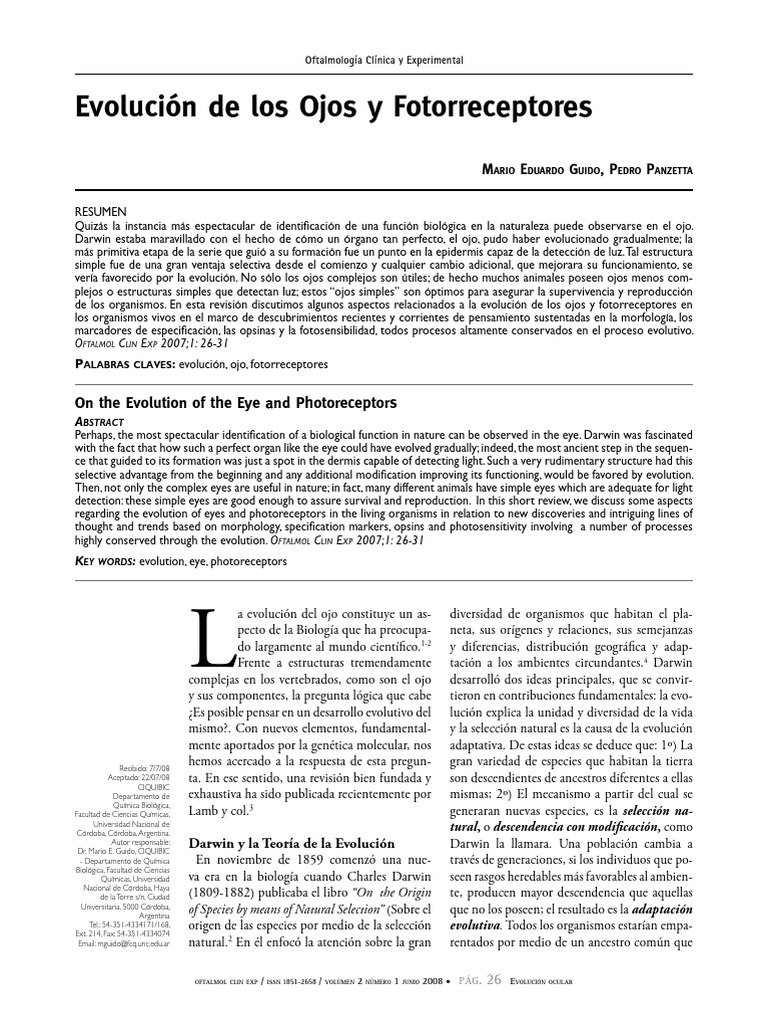 Evolucion de Los Ojos y Fotorreceptores | PDF | Percepción visual | Ojo