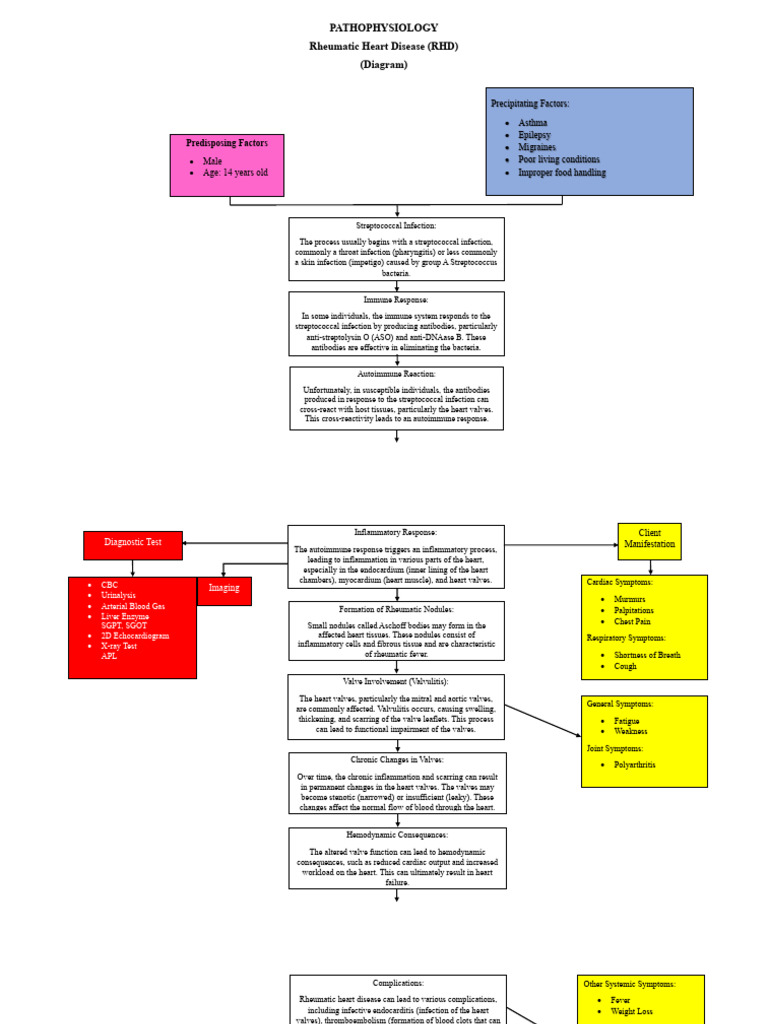 Pathophysiology Rheumatic Heart Disease (RHD) (Diagram) | PDF | Heart ...