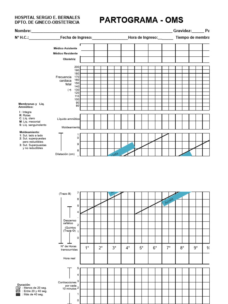 Formato de Partograma HSEB | PDF | Medicina | Sistema circulatorio