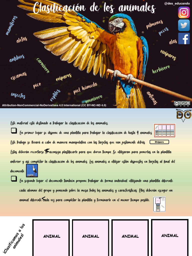 Clasificación de Animales para Niños | PDF