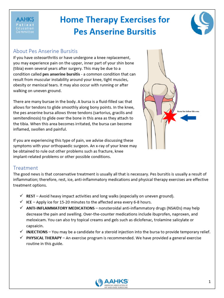 Pes Bursitis Exercises | PDF | Knee | Anatomical Terms Of Motion