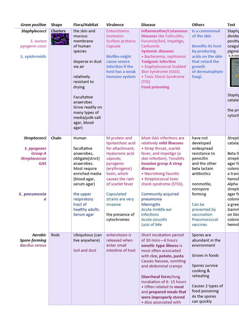 Gram Positive Bacteria Table | PDF | Streptococcus | Bacteria
